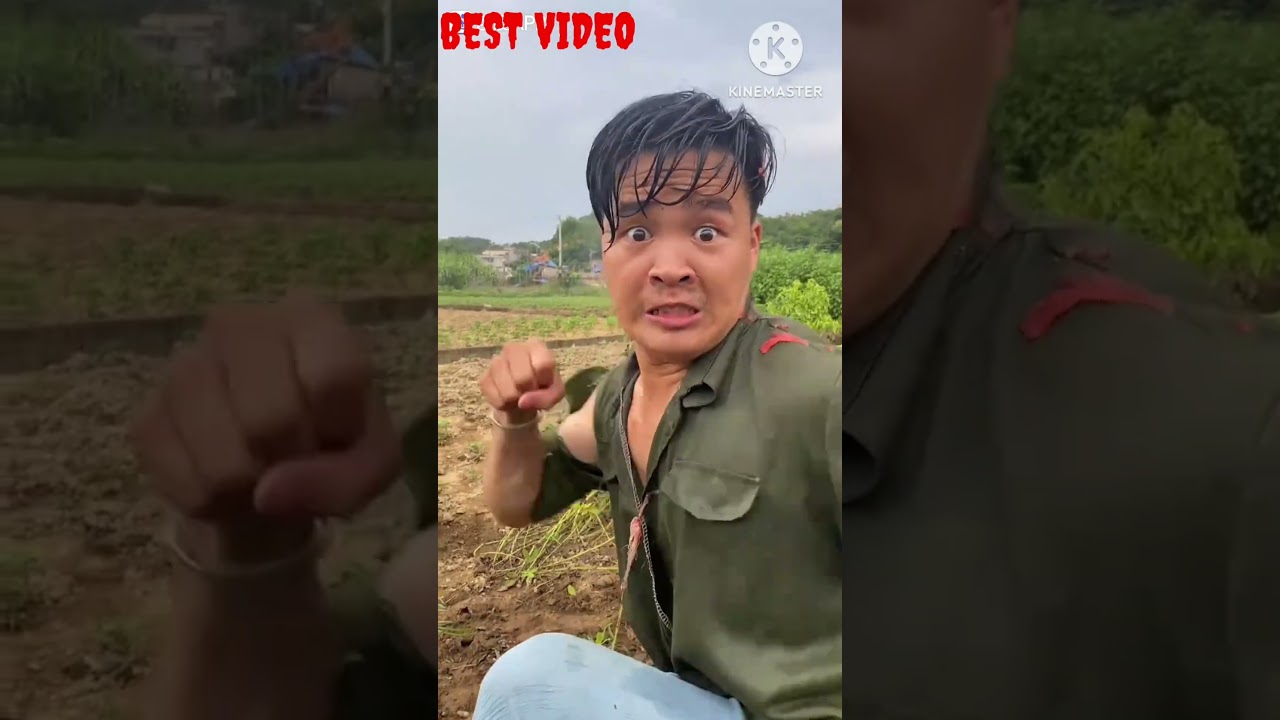 funny video2 #youtube  #foryou #funnydog #funny #funnyvideo #funyshorts #funnyvideos #funnymoments