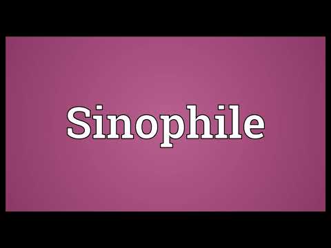 Sinophile Meaning