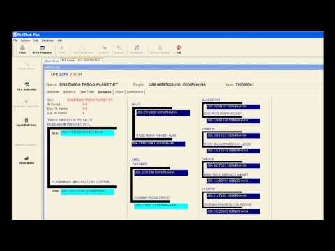 Part 1: Find & View Bull Information in Red Book Plus