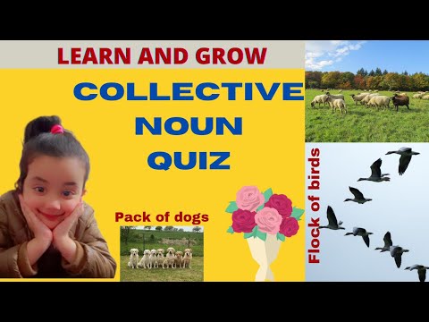 Collective Noun Quiz | English Grammar Quiz | Collective noun GK questions and answers