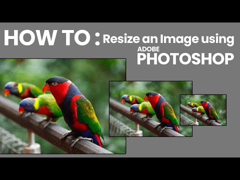 how to resize an image in Photoshop under 1 Minute