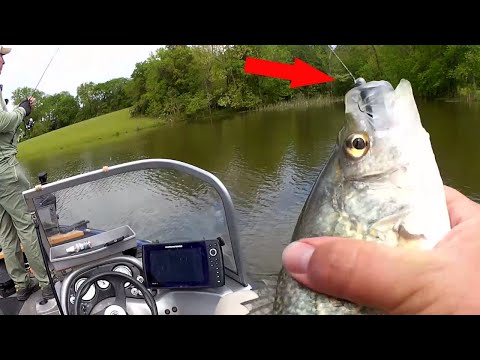 Spring Bank Fishing in Middle Tennessee: Ultralight Bluegill, Texas Rig ...