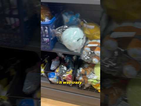 Shop cheap Pokémon plush