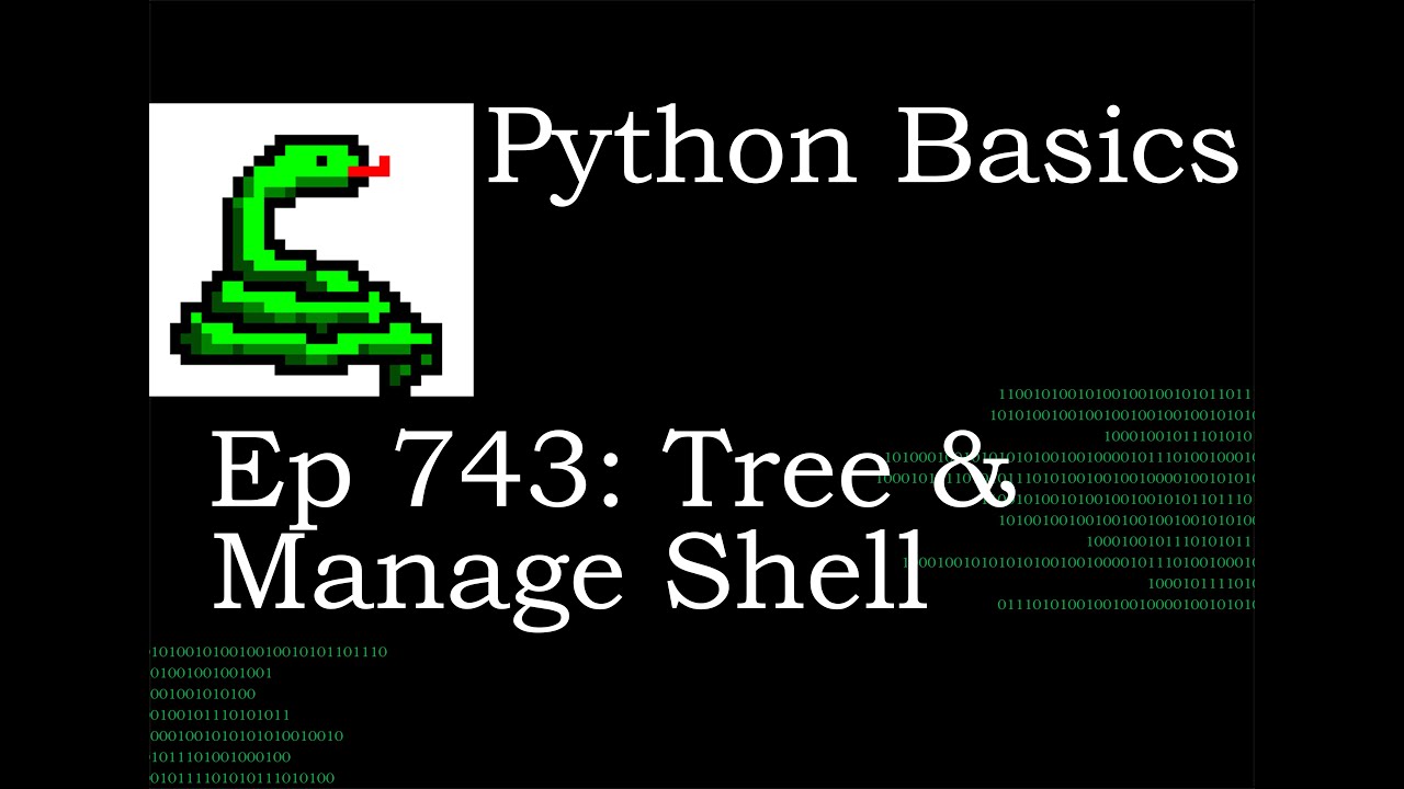 Python Basics Tutorial Tree And Django Manage Shell Command