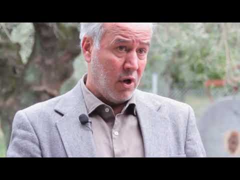 Kalamata Olive Oil Cooperative (Greece) | SUSTAINOLIVE