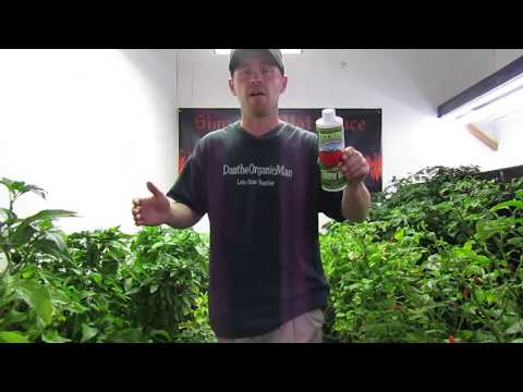 Fox Farm Grow Big