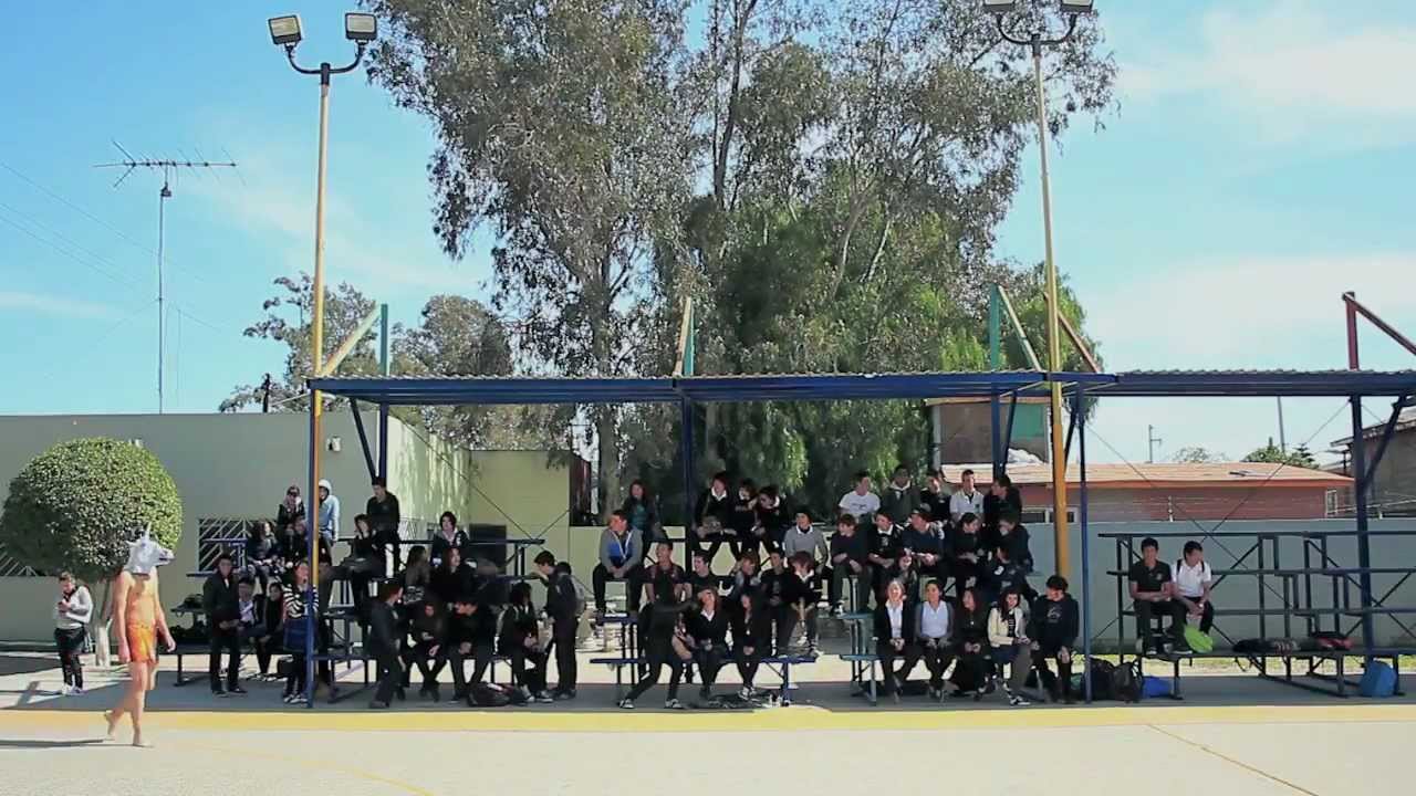 Harlem Shake TIJUANA (Cobach edition)