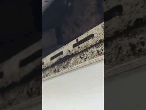 Siding Hiding a Lot of Rot!