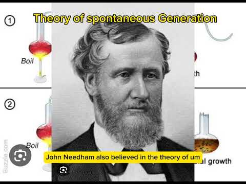 Theory of Spontaneous Generation