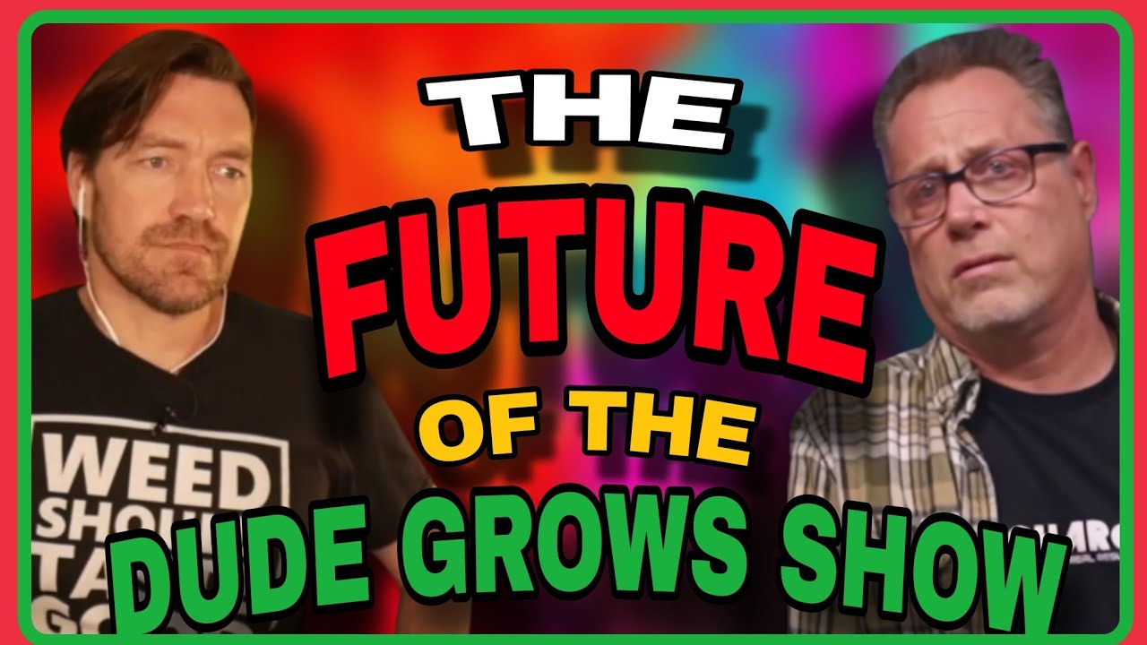 DGC OFFICIAL Update 2026