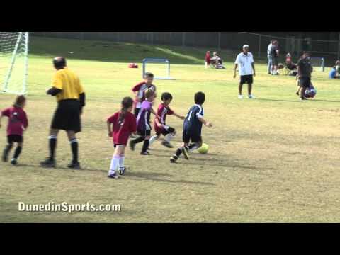 Dunedin Stirling Soccer Club - Recreational Promo