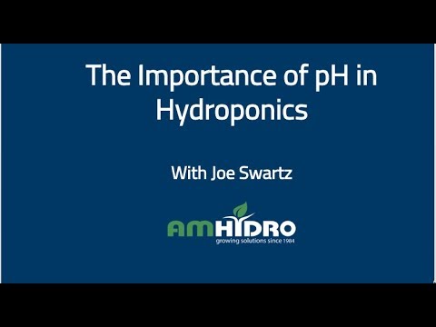 The Importance of pH in Hydroponics