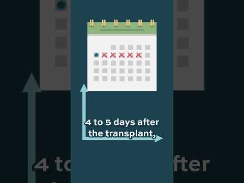 What is neutropenia?