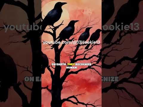 Why It’s Called a Murder of Crows: The Dark Origins Revealed! #mindblowingfacts #facts #motivation