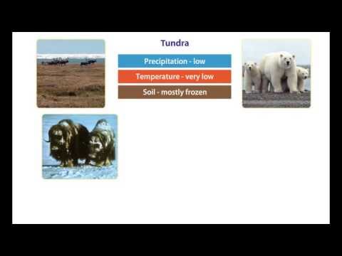 Earth's Climate - The Polar Zone