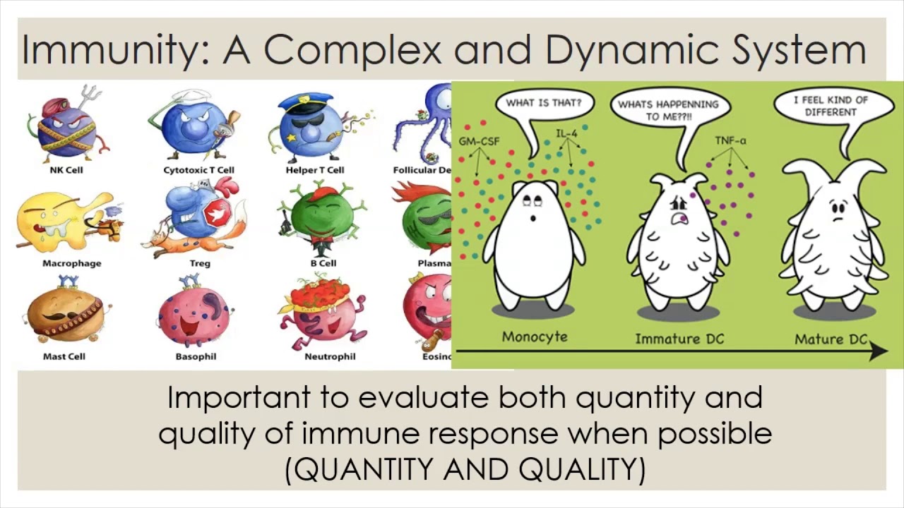 Demystifying Immunological Testing