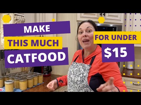 Cat food your cats will thank you for! (and how to make it)