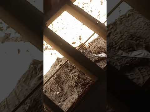Welded rebar under to hold up the subfloor.