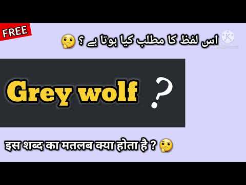 Grey wolf meaning in HINDI/URDU | Grey wolf Pronunciation | Grey wolf | LFU Channel