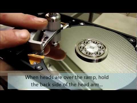 Wd Elements 1023 Usb Device Driver – Blue Every Day