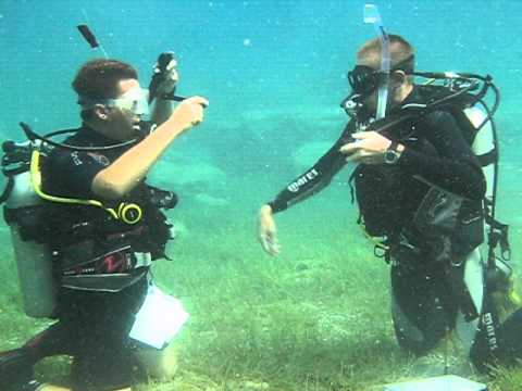 Padi 5 Point Ascent