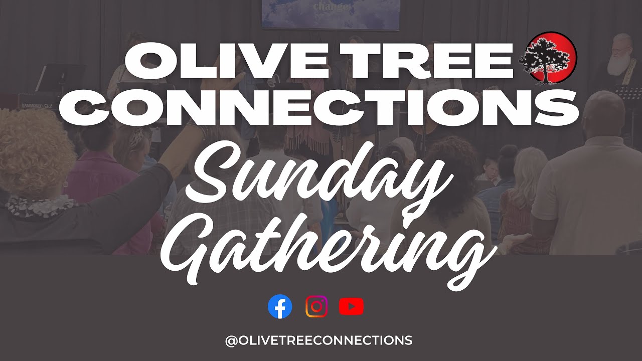 Olive Tree Connections