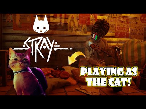 Steam Community :: Video :: The First Hour of that Cat Game - Stray ...