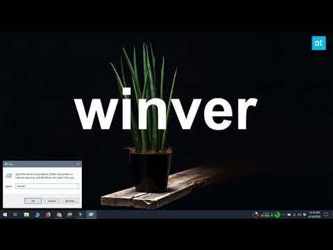 How To Use cURL On Windows 10