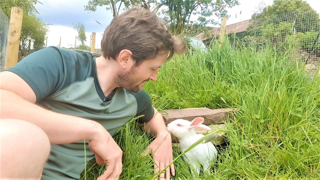 Creating an Underground Rabbit Warren