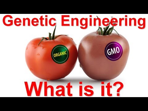 What is Genetic engineering?