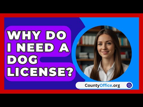 Why Do I Need A Dog License? - CountyOffice.org