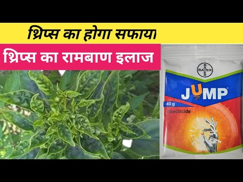 Bayer Insecticides - Latest Price, Dealers & Retailers in India