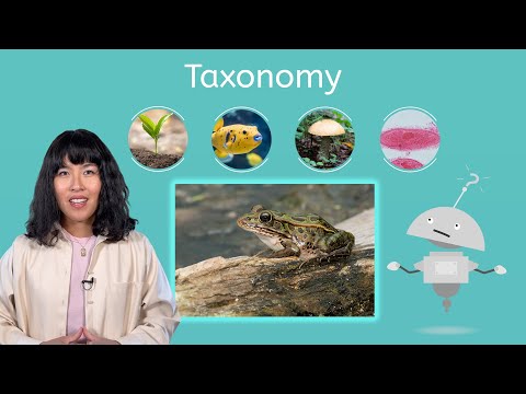 Taxonomy - Biology for Teens!