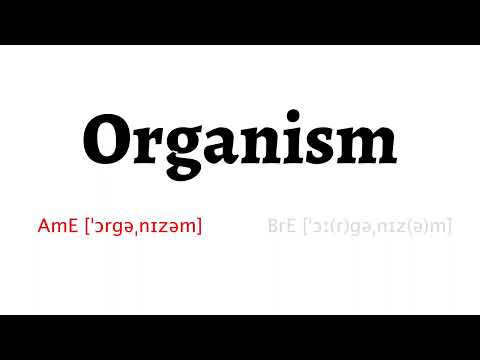 How to Pronounce organism in American English and British English