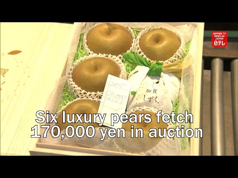 Enam buah pir mewah terjual seharga 170.000 yen dalam lelang