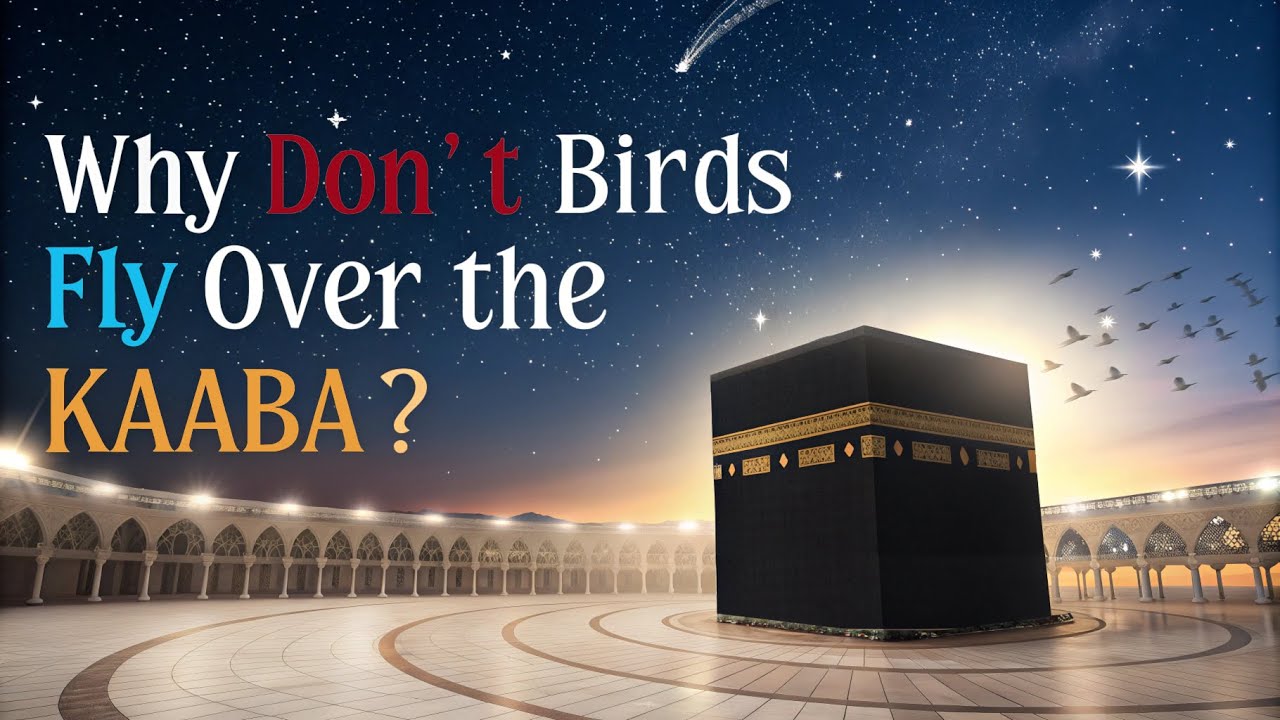Why Do Birds Avoid Flying Over the Kaaba?