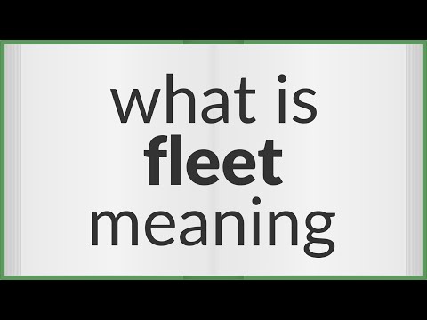 Fleet | meaning of Fleet