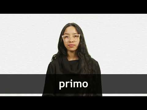 English Translation of “PRIMO” | Collins Spanish-English Dictionary