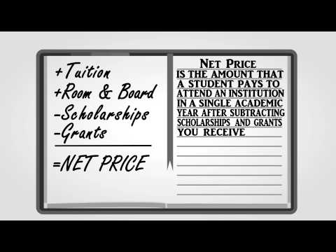 Net Price Calculator- Typography Video