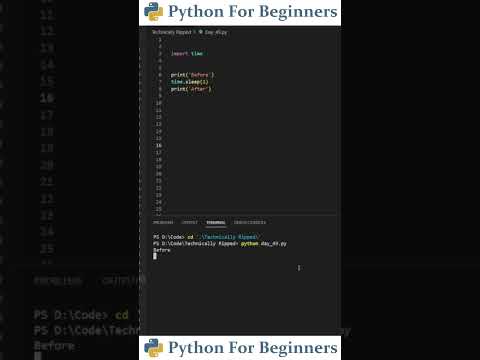 How To Use The Sleep Function | Python For Beginners