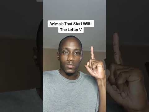 Animals That Start With The Letter V😯 #animals #interesting #viral #shorts #xyzbca