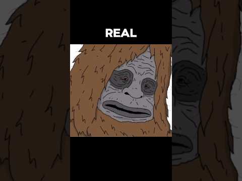 you wake up. SASSY THE SASQUATCH #thebiglezshow #biglez #sassythesasquatch #shorts