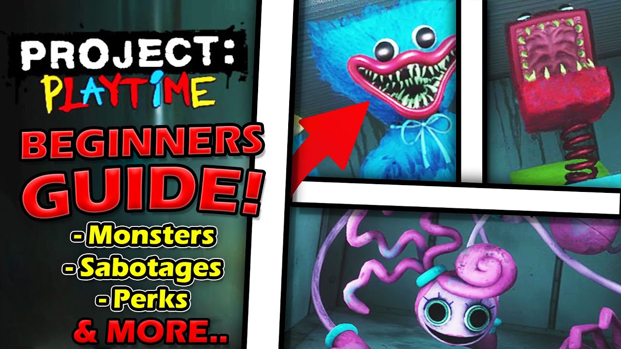 Project Playtime | The ULTIMATE Beginners Guide!