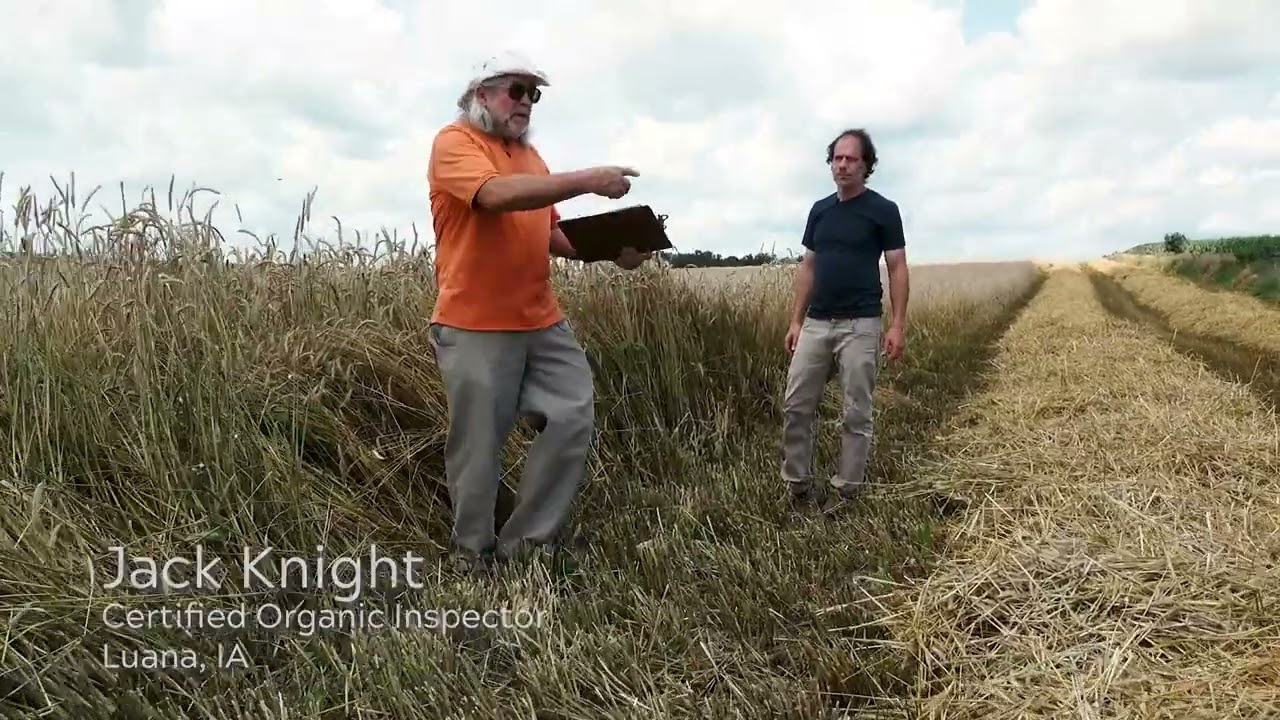 Buffer Area Management (USDA Organic Inspection Video Series)