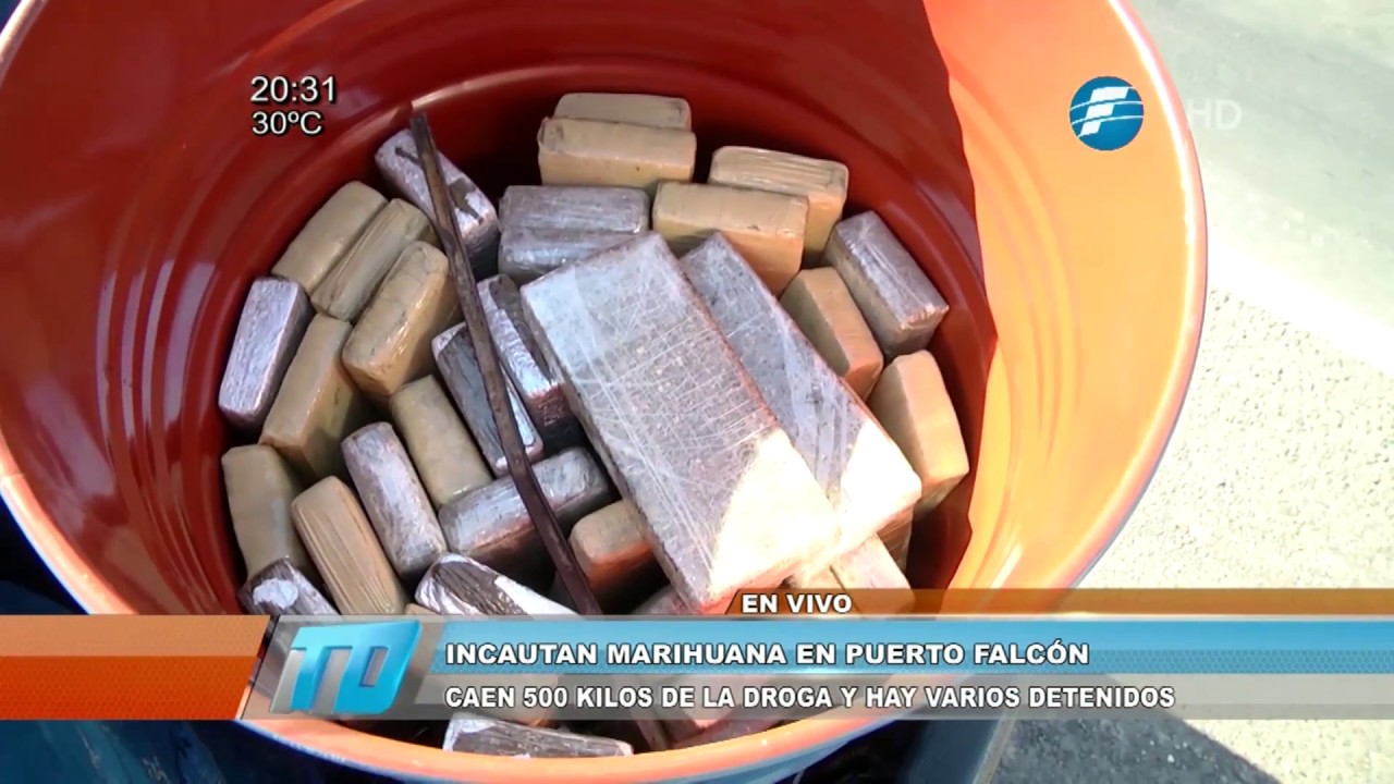 Incautan casi 500 kilos de marihuana prensada en Puerto Falcón