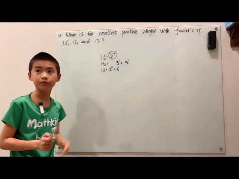 What is the smallest positive integer with factors of 16,15 and 12?