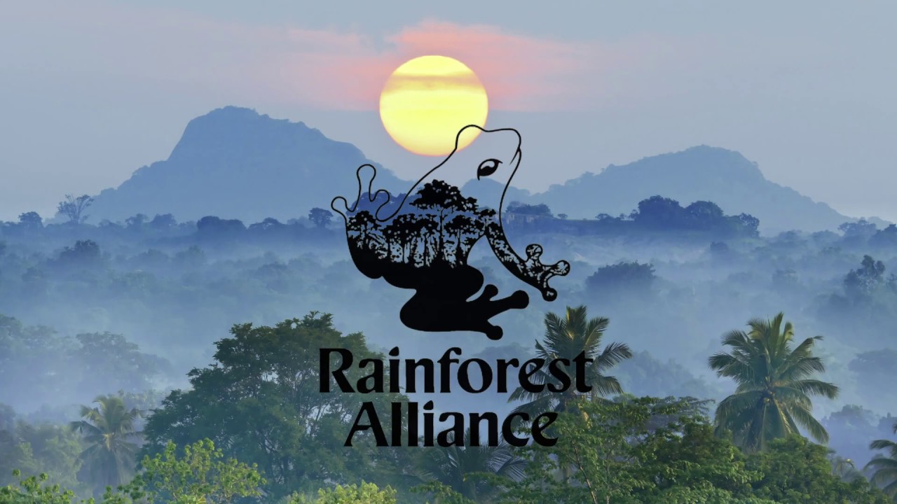 Rainforest Alliance/UTZ Logo Evolution