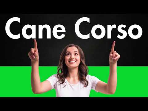 How to Pronounce Cane Corso (Correctly)