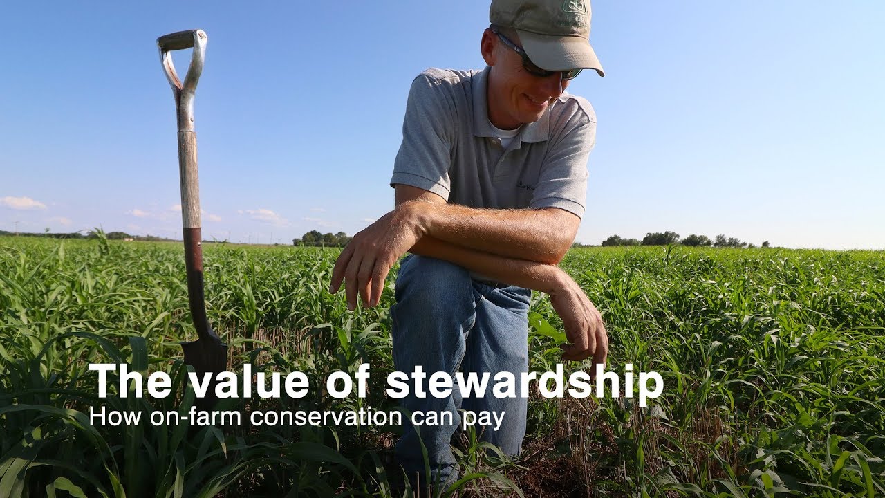 The value of stewardship