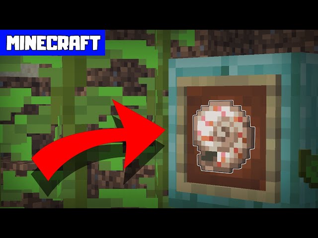 How rare are nautilus shells in Minecraft 1.19 update?